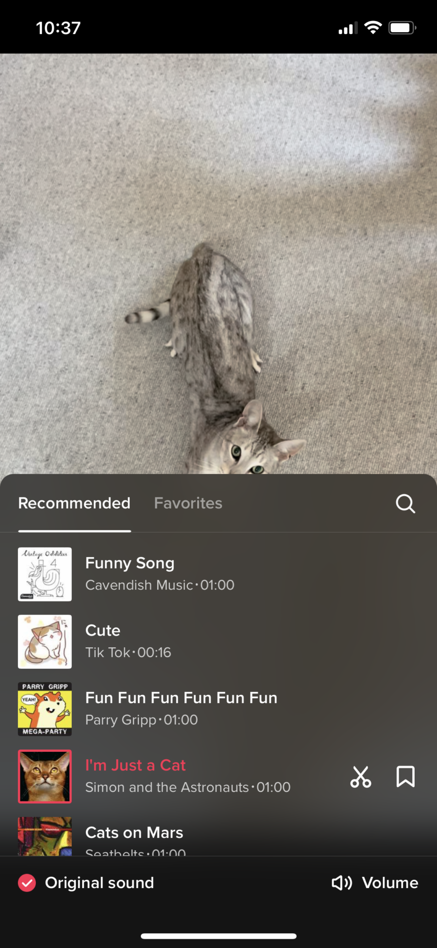 Filming for TikTok and Instagram Reels from Your Phone | And A Complete ...